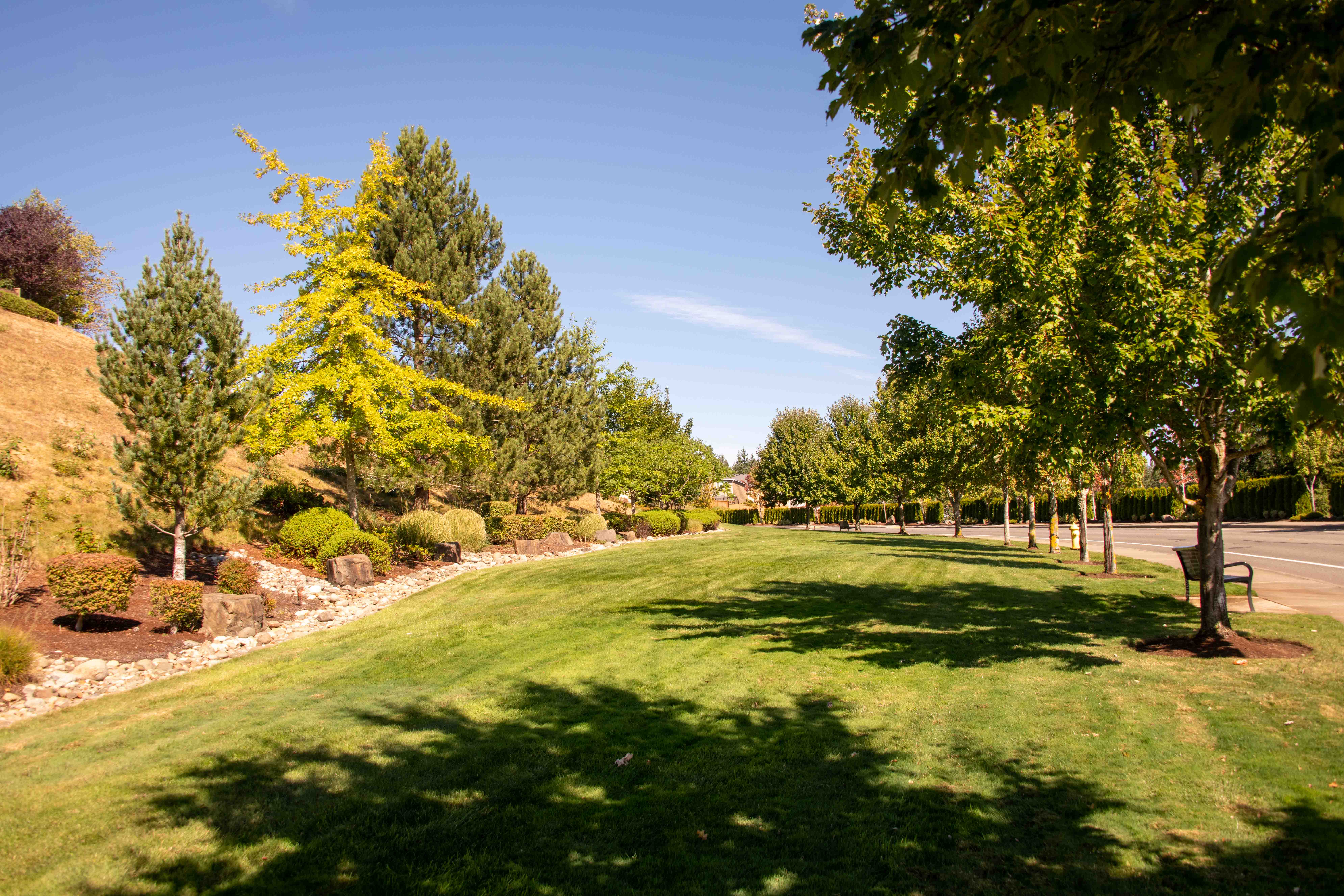 Maple Ridge Highlands – Amazing views & great community parks